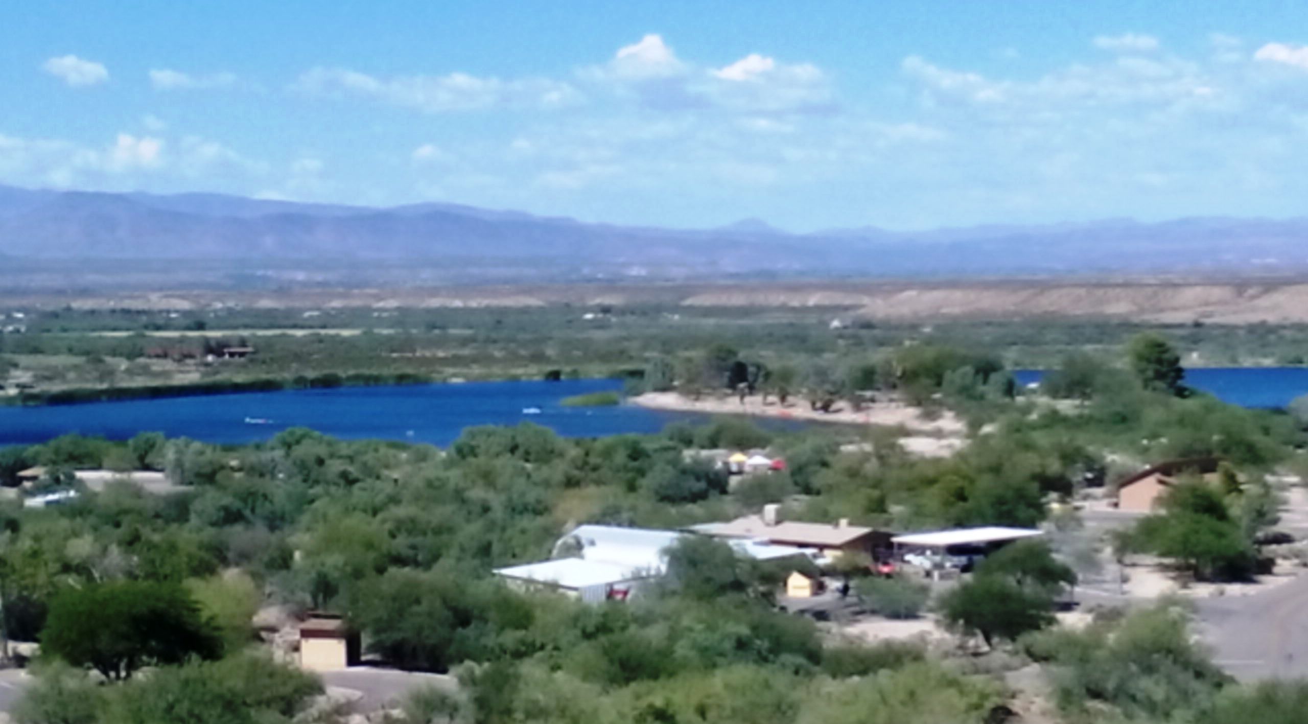 A Visit to Mount Graham | Alan Olee Book Report